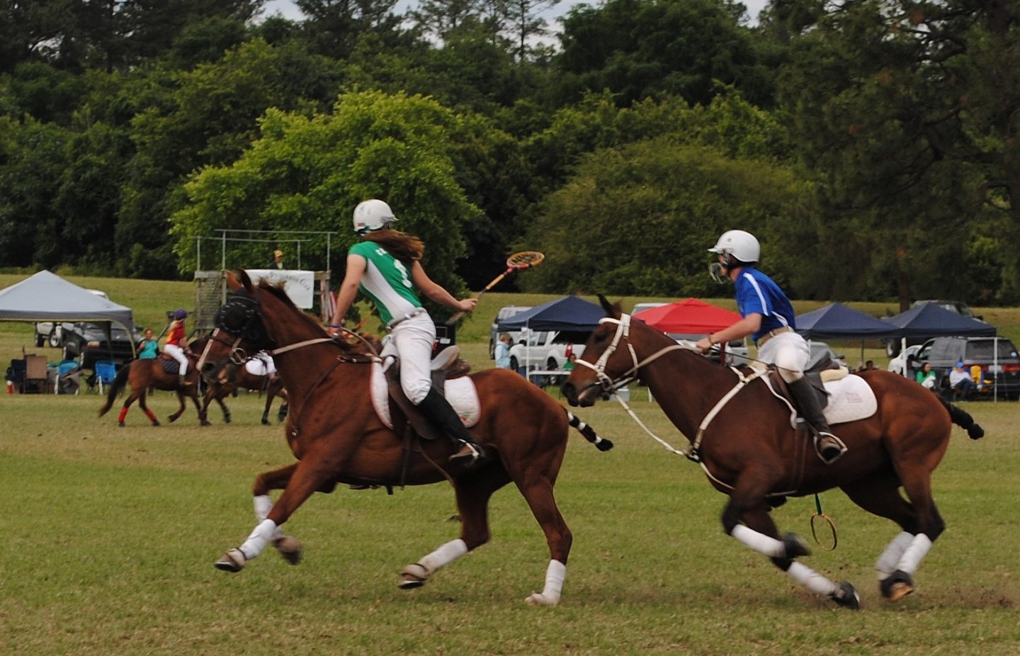 Photo Gallery | Carolina Polocrosse Club